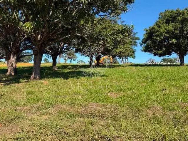 Terreno / Lote para Venda em Lagoa Santa/MG Lagoinha de Fora