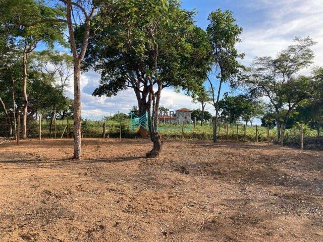 Terreno / Lote para Venda em Lagoa Santa/MG Lagoinha de Fora