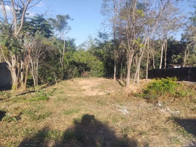 Terreno / Lote para Venda em Lagoa Santa/MG Paineiras
