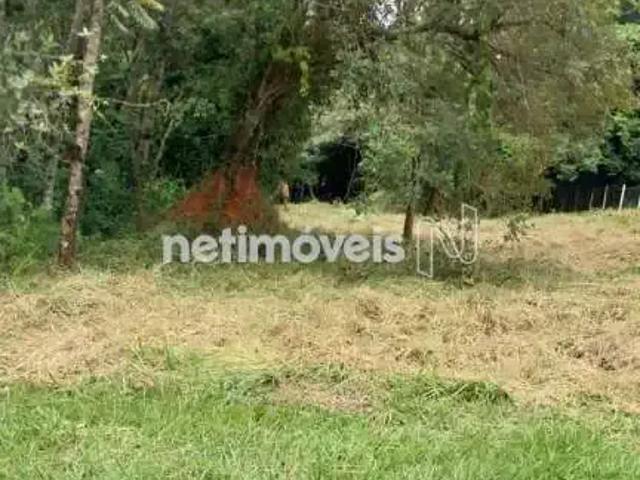 Terreno / Lote para Venda em Lagoa Santa/MG Palmital