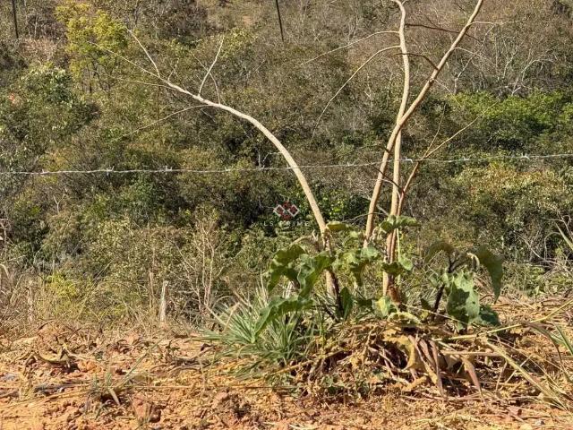 Terreno / Lote para Venda em Lagoa Santa/MG Parque dos Buritis