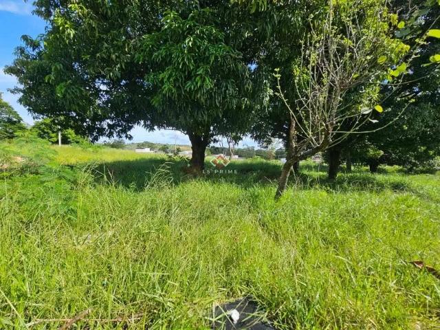 Terreno / Lote para Venda em Lagoa Santa/MG Promissão
