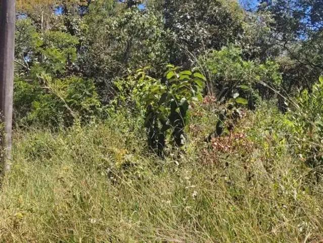 Terreno / Lote para Venda em Lagoa Santa/MG Recanto da Lagoa