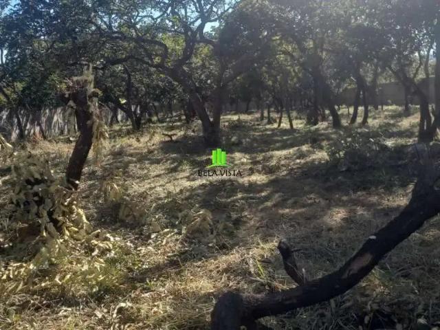 Terreno / Lote para Venda em Lagoa Santa/MG Recanto da Lagoa