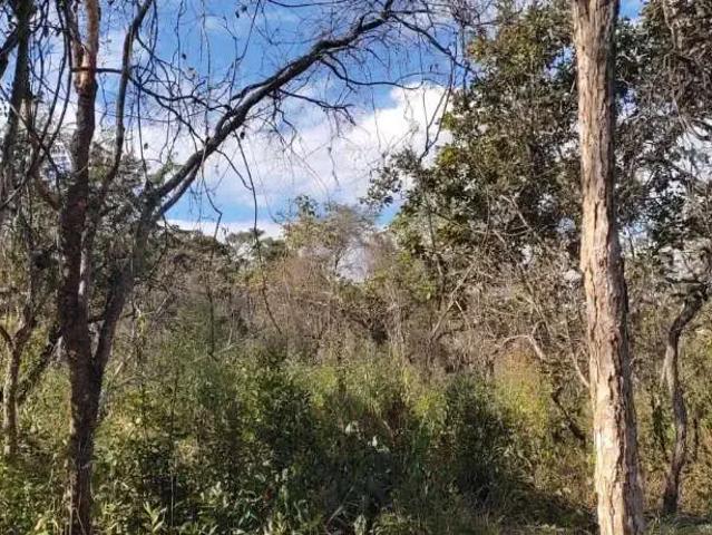 Terreno / Lote para Venda em Lagoa Santa/MG Recanto da Lagoa