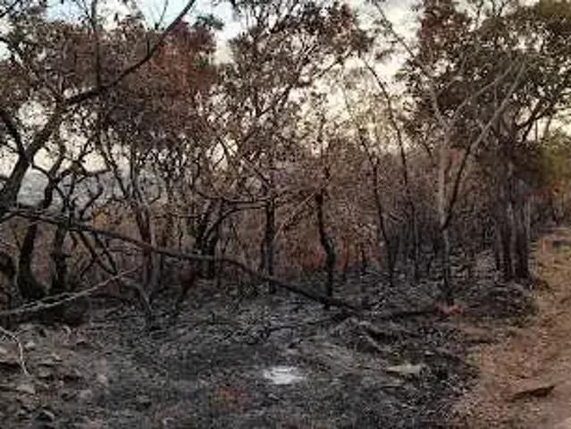 Terreno / Lote para Venda em Lagoa Santa/MG Vale dos Sonhos