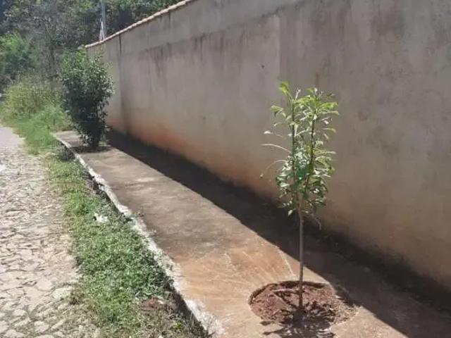 Terreno / Lote para Venda em Lagoa Santa/MG Várzea