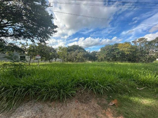 Terreno / Lote para Venda em Lagoa Santa/MG Veredas Da Lagoa