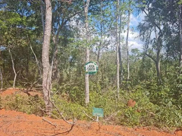 Terreno / Lote para Venda em Lagoa Santa/MG Vila Dos Albanos Residencial