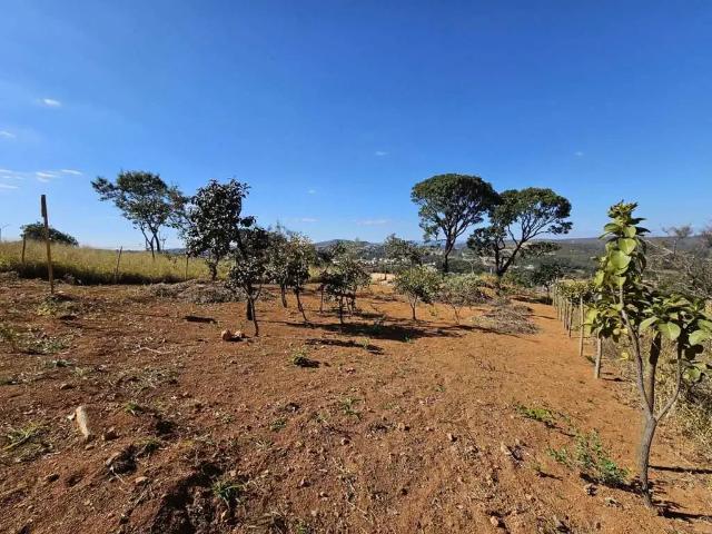Terreno / Lote para Venda em Lagoa Santa/MG Vila dos Ipês