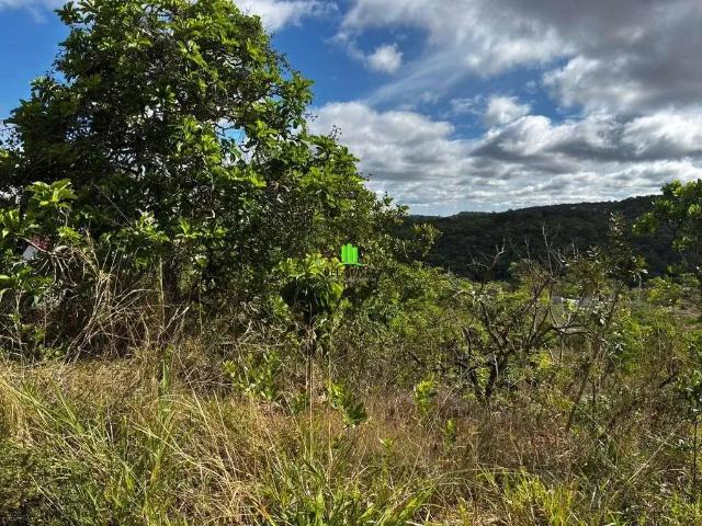 Terreno / Lote para Venda em Lagoa Santa/MG Villa Paradiso