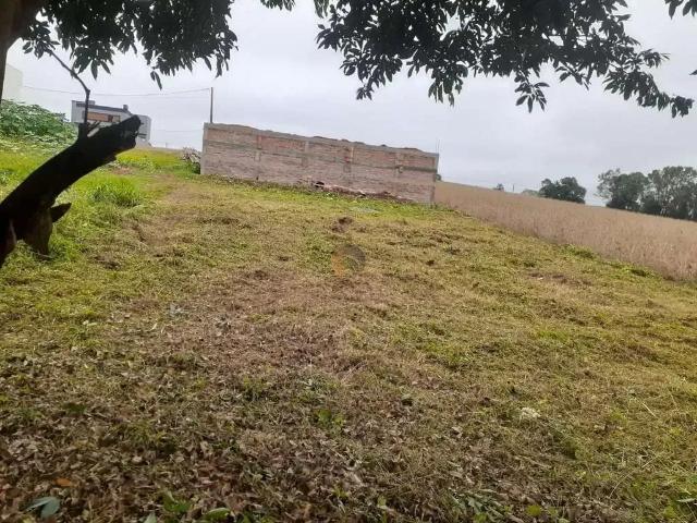 Terreno / Lote para Venda em Lajeado/RS Bom Pastor