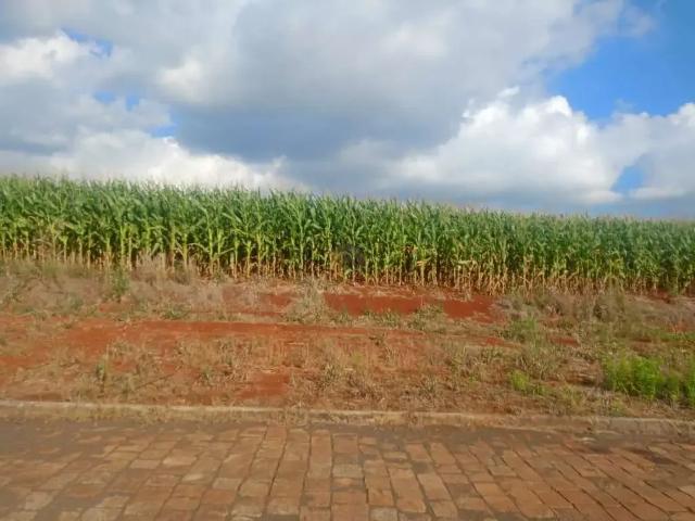 Terreno / Lote para Venda em Lajeado/RS Floresta