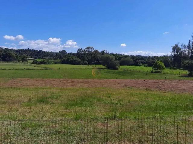 Terreno / Lote para Venda em Lajeado/RS Floresta