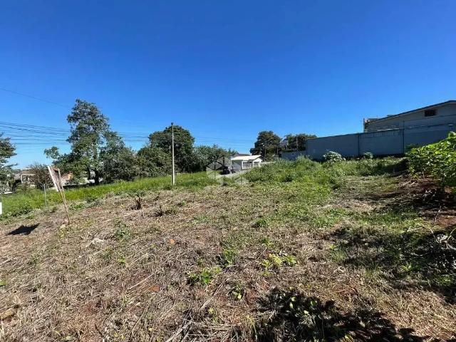 Terreno / Lote para Venda em Lajeado/RS Montanha