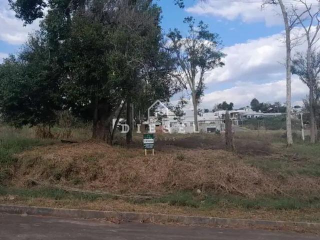 Terreno / Lote para Venda em Lajeado/RS Universitário