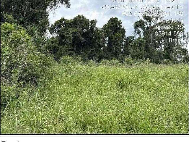 Terreno / Lote para Venda em Lajeado/RS Universitário