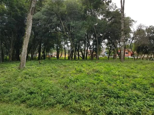 Terreno / Lote para Venda em Lapa/PR Centro