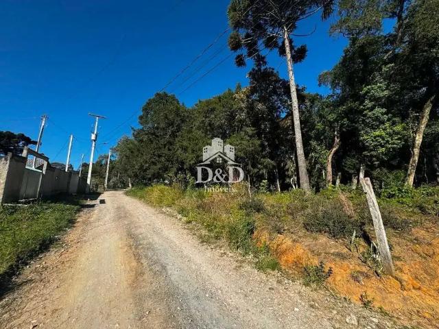 Terreno / Lote para Venda em Lapa/PR Centro