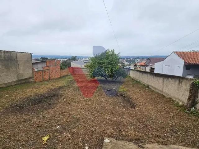 Terreno / Lote para Venda em Lapa/PR Olaria