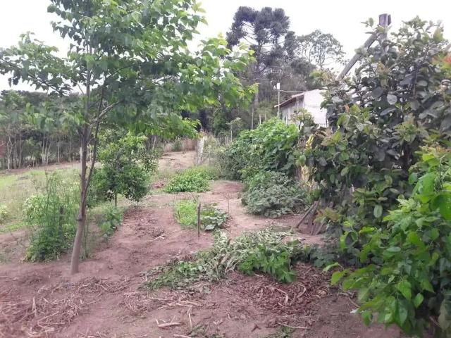 Terreno / Lote para Venda em Lapa/PR Passa Dois