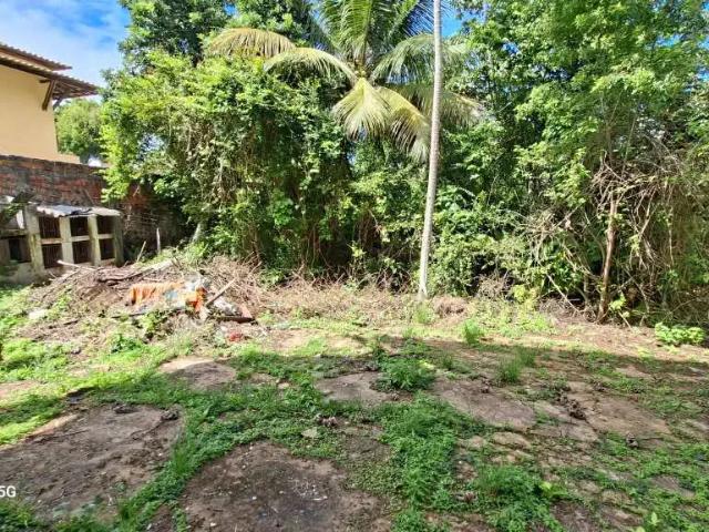 Terreno / Lote para Venda em Lauro de Freitas/BA Caixa D'Água