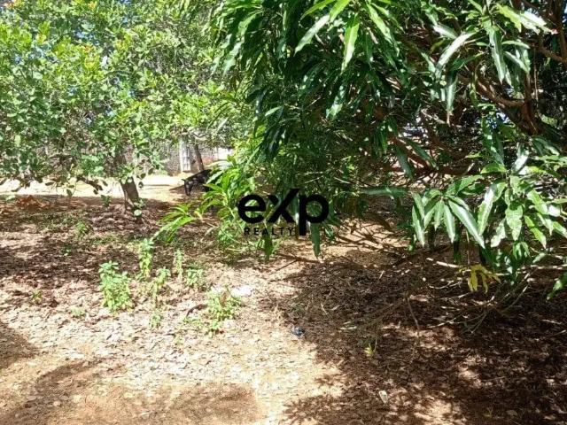 Terreno / Lote para Venda em Lauro de Freitas/BA Caji