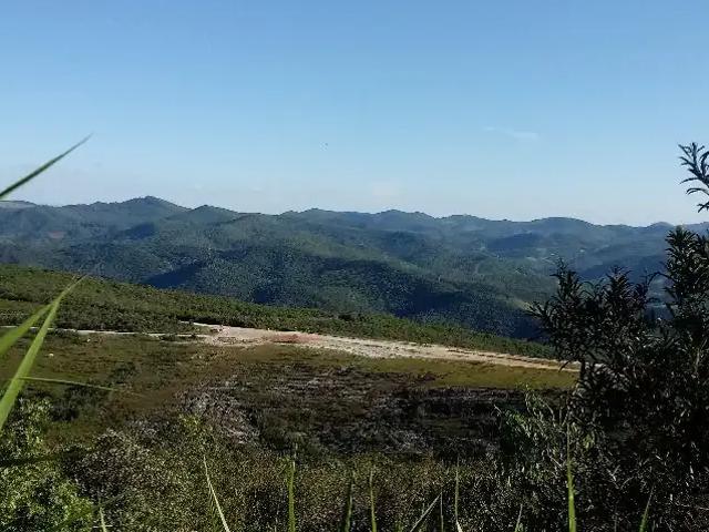 Terreno / Lote para Venda em Lavras Novas/MG Centro