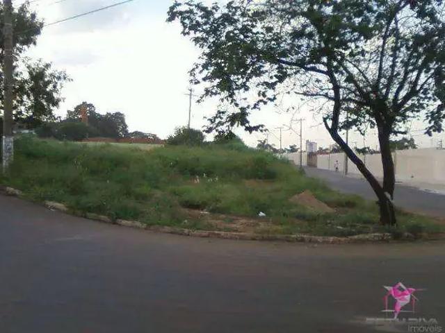 Terreno / Lote para Venda em Leme/SP Barra Funda