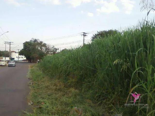 Terreno / Lote para Venda em Leme/SP Barra Funda