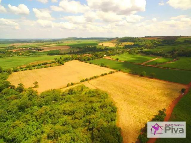 Terreno / Lote para Venda em Leme/SP Estrada Particular Ibicatu