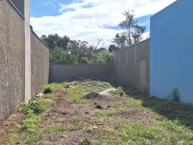 Terreno / Lote para Venda em Leme/SP Jardim Nova Leme