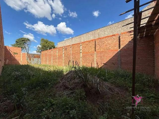 Terreno / Lote para Venda em Leme/SP Jardim Ana Lúcia
