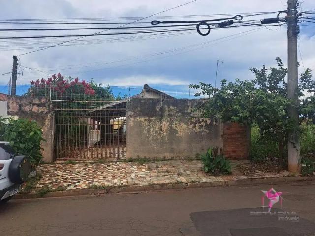 Terreno / Lote para Venda em Leme/SP Jardim Ana Lúcia