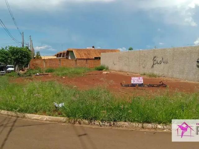 Terreno / Lote para Venda em Leme/SP Jardim Empyreo