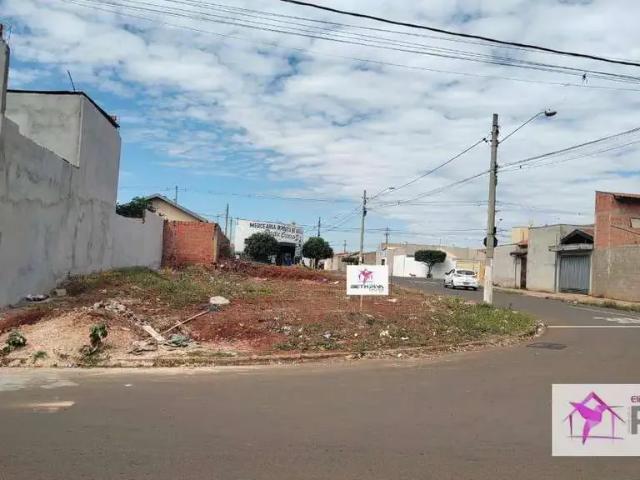 Terreno / Lote para Venda em Leme/SP Jardim Empyreo