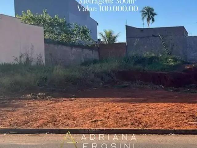 Terreno / Lote para Venda em Leme/SP Jardim Graminha