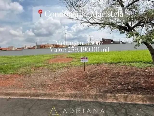 Terreno / Lote para Venda em Leme/SP Jardim Residencial Maristela