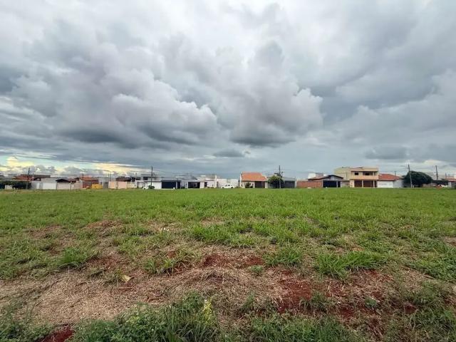 Terreno / Lote para Venda em Leme/SP Jardim Residencial Altos da Santa Rita