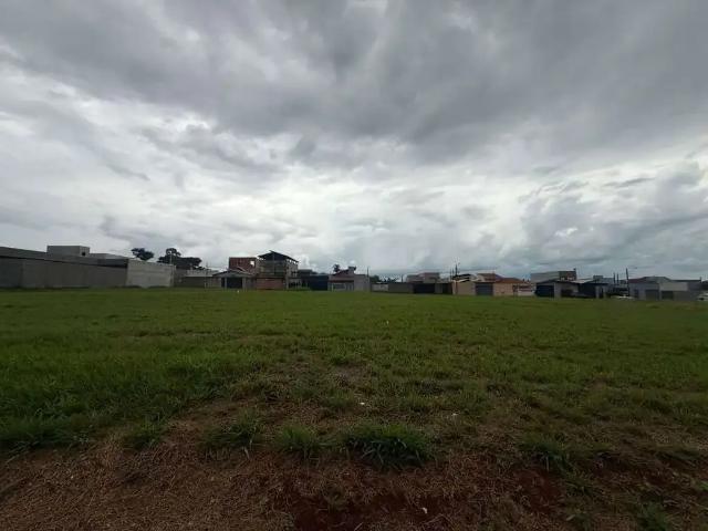 Terreno / Lote para Venda em Leme/SP Jardim Residencial Altos da Santa Rita
