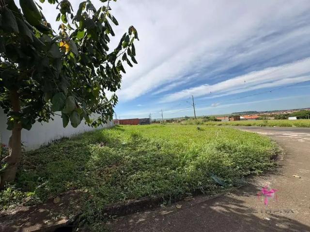 Terreno / Lote para Venda em Leme/SP Jardim Residencial Altos da Santa Rita