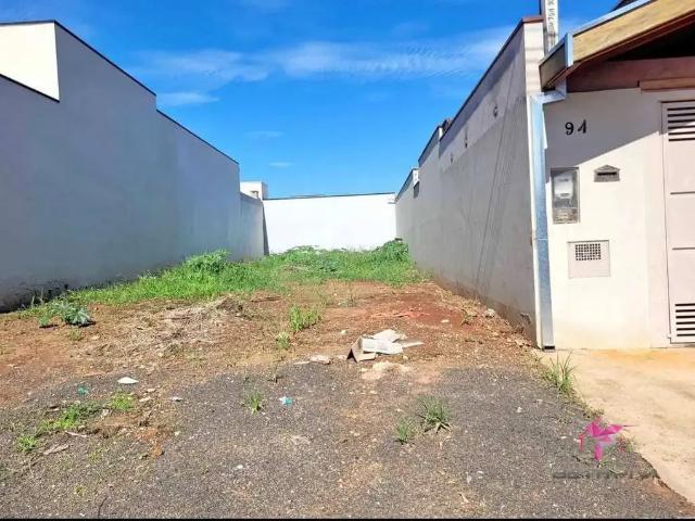 Terreno / Lote para Venda em Leme/SP Jardim Residencial Cambuhy