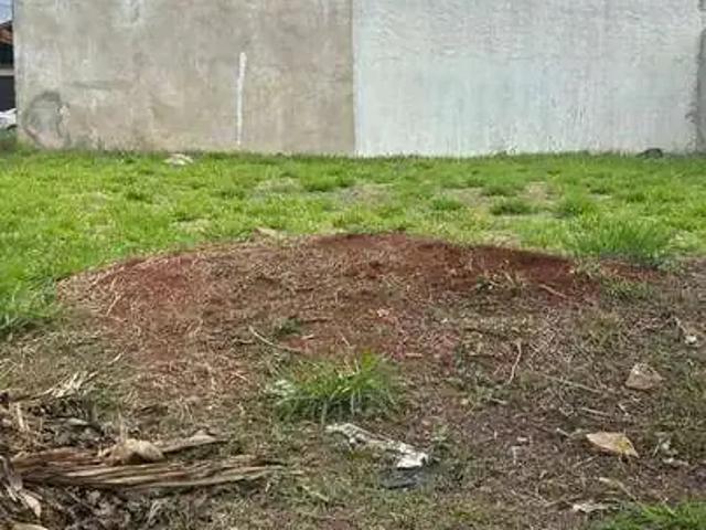 Terreno / Lote para Venda em Leme/SP Jardim Residencial Cambuhy