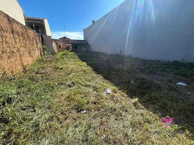 Terreno / Lote para Venda em Leme/SP Jardim Santa Paula