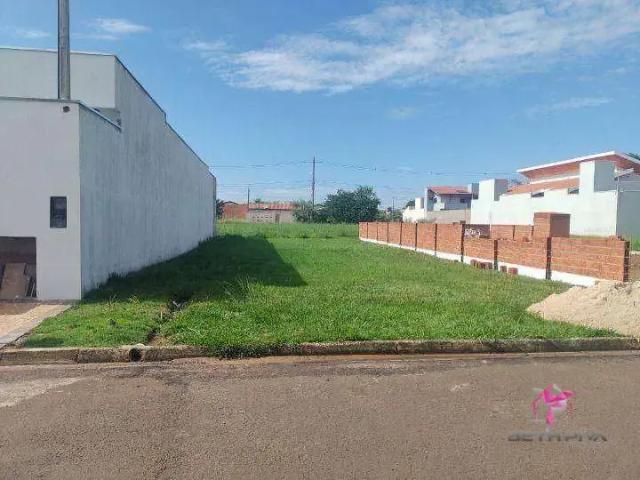 Terreno / Lote para Venda em Leme/SP Jardim Universitário