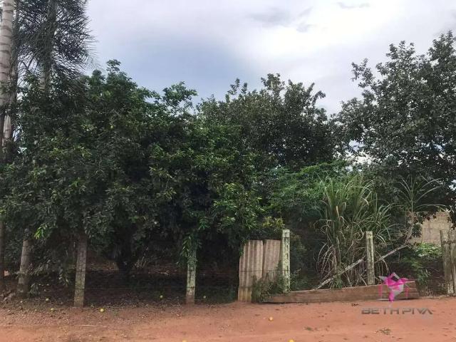 Terreno / Lote para Venda em Leme/SP Taquari Ponte