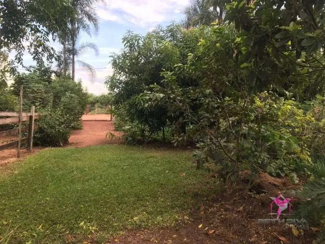 Terreno / Lote para Venda em Leme/SP Taquari Ponte