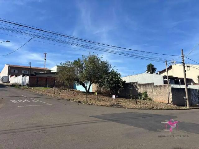 Terreno / Lote para Venda em Leme/SP Vila São Jorge
