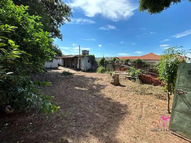 Terreno / Lote para Venda em Leme/SP Vila Santucci