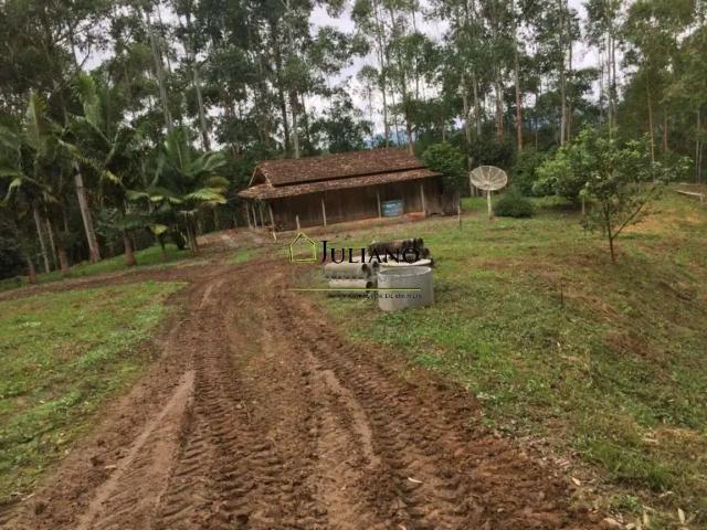 Terreno / Lote para Venda em Leoberto Leal/SC Ribeirão Grande